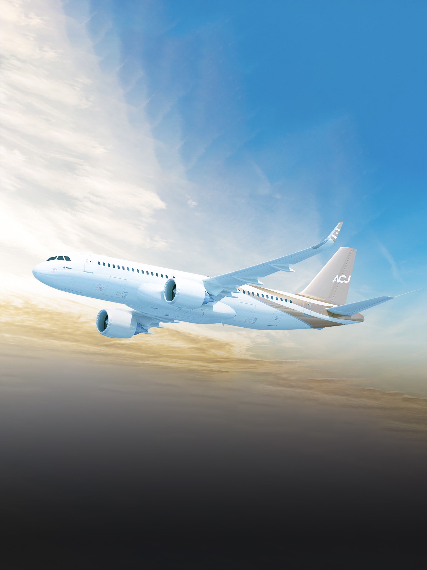 Airbus Corporate Jets | Our Private Jet Charter Fleet | TAG Aviation